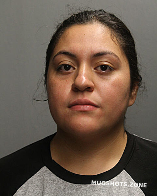 JENNIFER ROMAN 07/17/2024 - Chicago Mugshots Zone