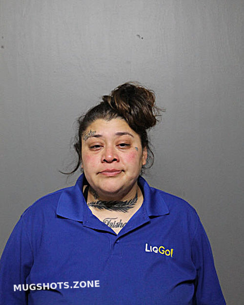 CELIA E CARRIZALES 07/17/2024 - Chicago Mugshots Zone