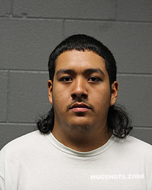 LUIS D MEJIA 07/20/2024 - Chicago Mugshots Zone