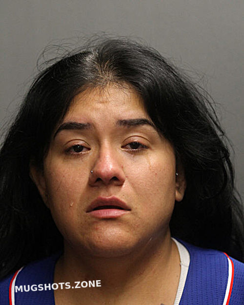 MARIA HERNANDEZ 07/20/2024 - Chicago Mugshots Zone