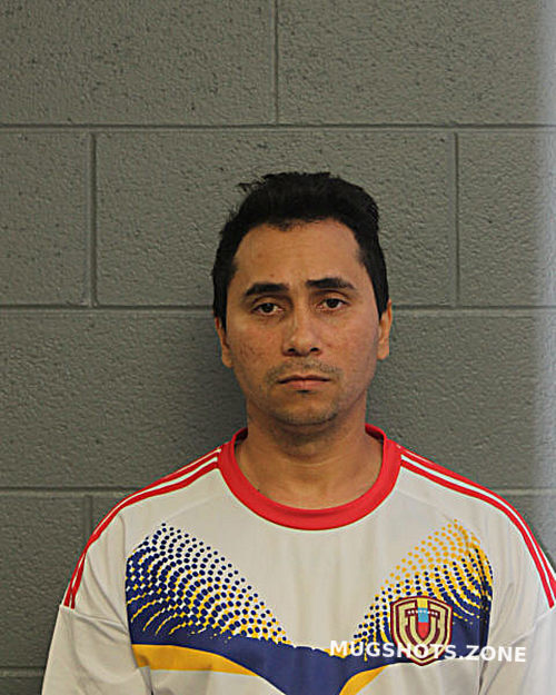 JOSE G GONZALEZ FREITES 07/24/2024 - Chicago Mugshots Zone