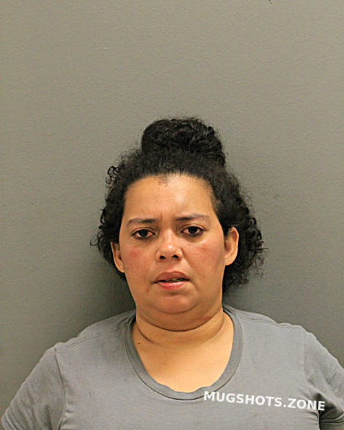 MARIA S DE LA HOZ RAMOS 07/26/2024 - Chicago Mugshots Zone