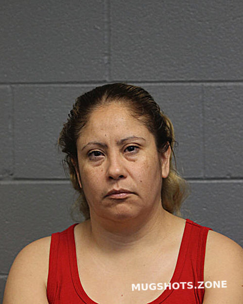 CLAUDIA Y GOMEZ-REYES 07/29/2024 - Chicago Mugshots Zone