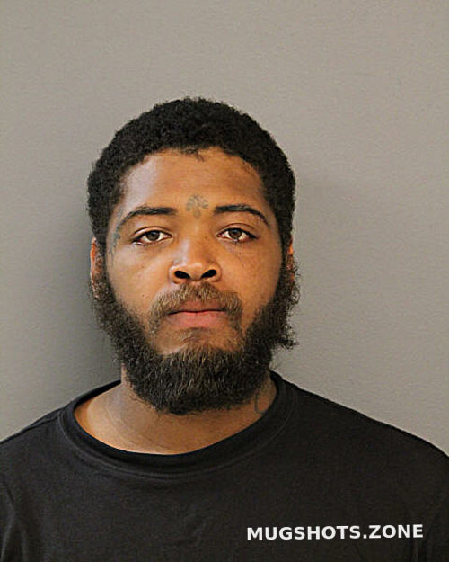 ELIJAH J DAVIS 07/30/2024 - Chicago Mugshots Zone