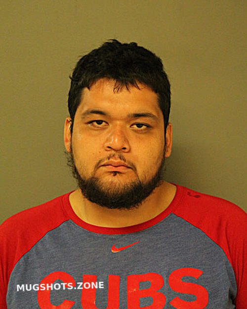 LUIS G BAUTISTA 07/30/2024 - Chicago Mugshots Zone