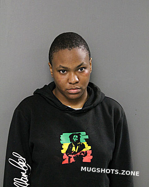 AMBER SAMPLE 08/01/2024 - Chicago Mugshots Zone