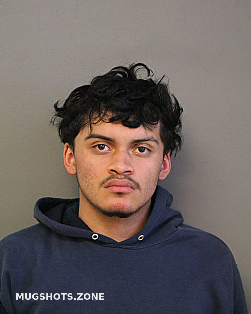 TONY ROBLES 08/02/2024 - Chicago Mugshots Zone