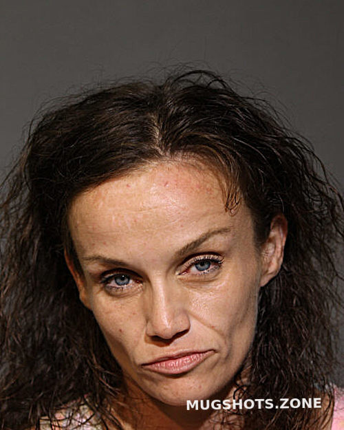 JAMIE L GUY 08/04/2024 - Chicago Mugshots Zone