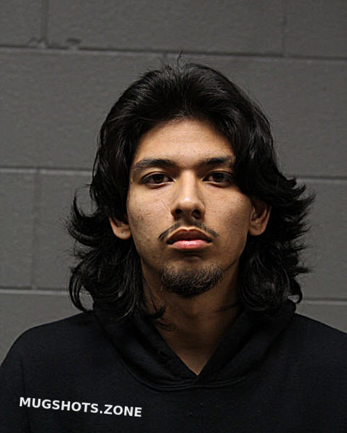 VICTOR RODRIGUEZ 08/04/2024 - Chicago Mugshots Zone