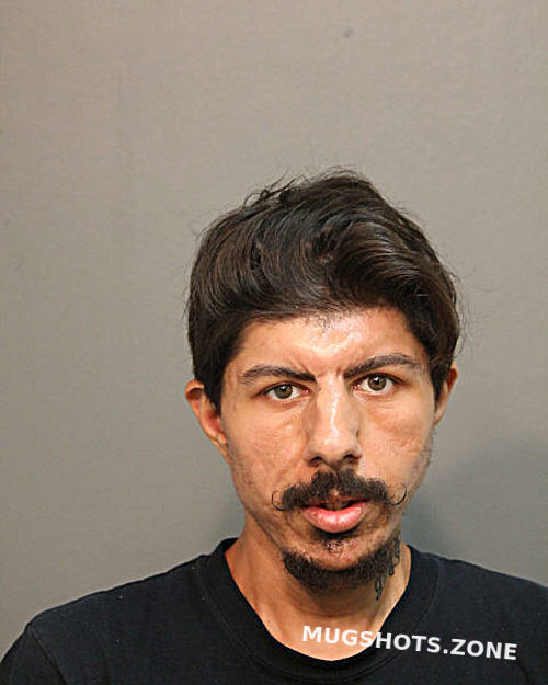 RODNEY J NICHOLAS 08/05/2024 - Chicago Mugshots Zone