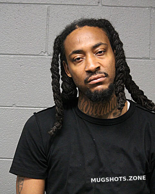 RICARDO L WILLIAMS 08/06/2024 - Chicago Mugshots Zone