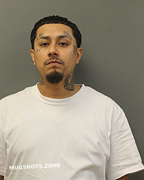 JONATHAN CASTRO 08/08/2024 - Chicago Mugshots Zone