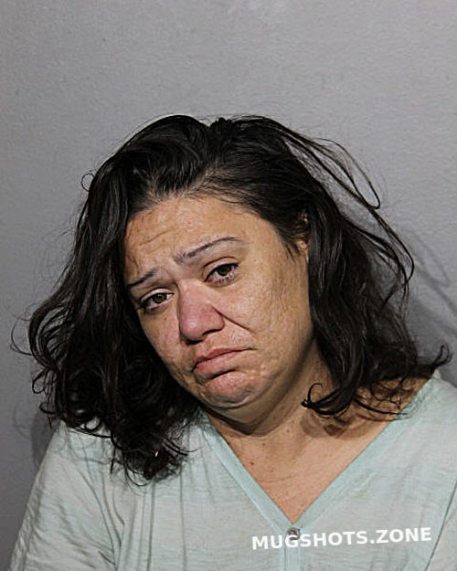 SARAH M BUDDE 08/09/2024 - Chicago Mugshots Zone