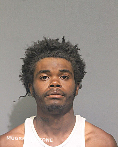 MICHAEL J EDWARDS 08/10/2024 - Chicago Mugshots Zone