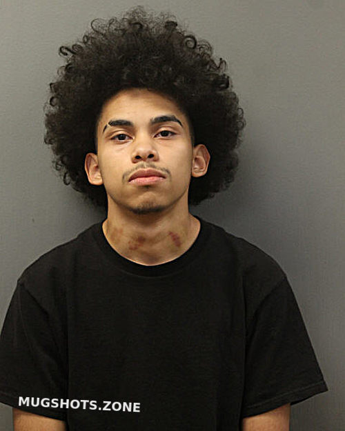 DAVID SANITAGO-SEGURA 08/10/2024 - Chicago Mugshots Zone