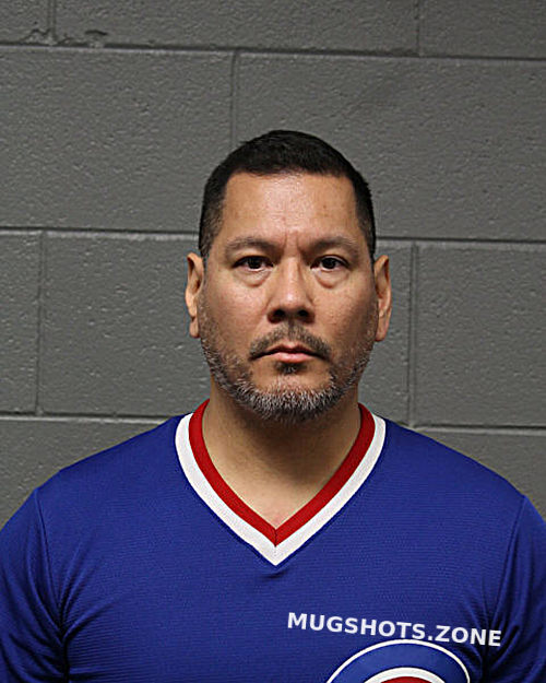 DAVID A SALMON 08/10/2024 - Chicago Mugshots Zone