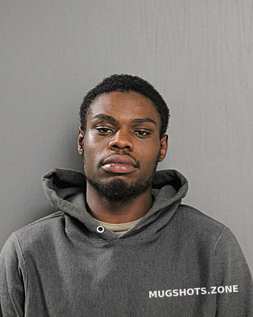 TYLER C JOHNSON 08/13/2024 - Chicago Mugshots Zone