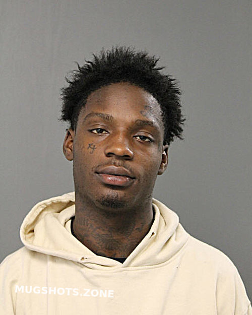 CHRISTOPHER A ANDERSON 08/13/2024 - Chicago Mugshots Zone