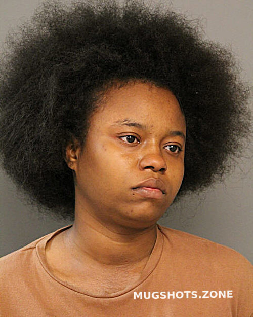 JESSICA N PILLOT 08/17/2024 - Chicago Mugshots Zone