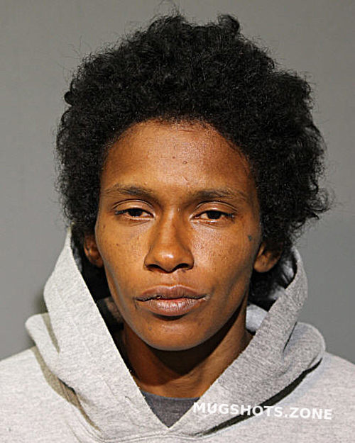 MICHELLE HERNANDEZ 08/17/2024 - Chicago Mugshots Zone