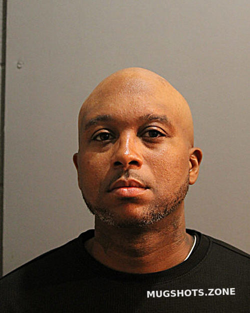 TIMOTHY BROWN 08/18/2024 - Chicago Mugshots Zone