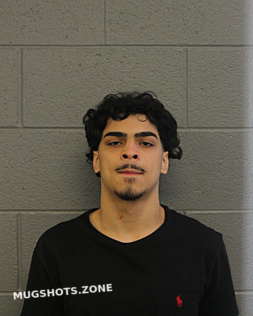 GIOVANNI WESTLUND 08/18/2024 - Chicago Mugshots Zone