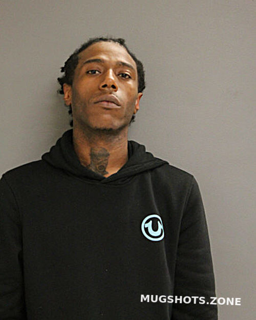 SHAWN N ROBINSON 08/20/2024 - Chicago Mugshots Zone