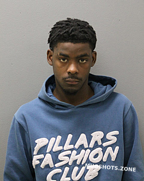 JAMARION M DAVISON 08/21/2024 - Chicago Mugshots Zone