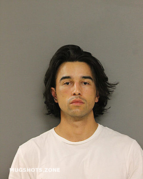 TIMOTHY C ROSE 08/23/2024 - Chicago Mugshots Zone