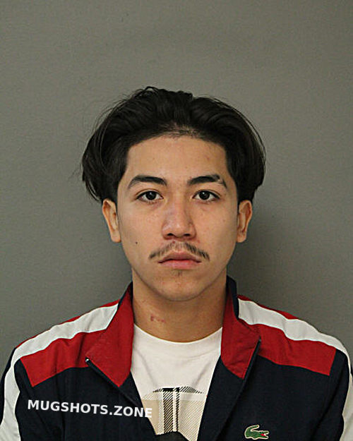 RONALDO MAXINEZ 08/23/2024 - Chicago Mugshots Zone