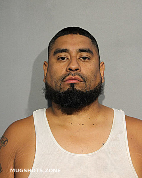 DAVID MARTINEZ 08/25/2024 - Chicago Mugshots Zone