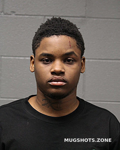 JHAMARI R TAYLOR 08/26/2024 - Chicago Mugshots Zone