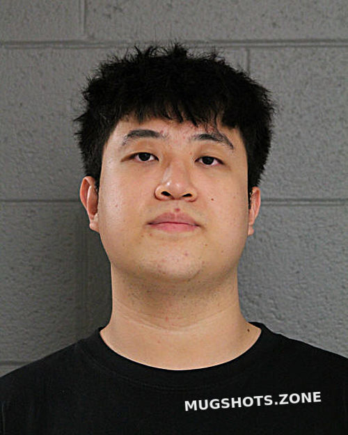 WEI DING 08/26/2024 - Chicago Mugshots Zone