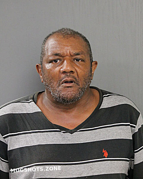 RONALD A JOHNSON 08/28/2024 - Chicago Mugshots Zone