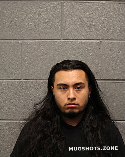 BRYAN A SILVA DELAROSA 08/28/2024 - Chicago Mugshots Zone