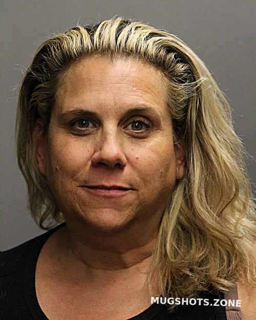 LAURA L OTTO 08/30/2024 - Chicago Mugshots Zone