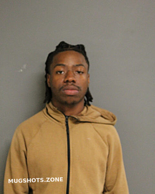 JAMES S JACKSON 09/11/2024 - Chicago Mugshots Zone