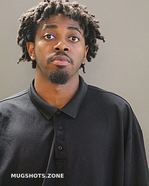 DAVID S HARVEY 09/12/2024 - Chicago Mugshots Zone