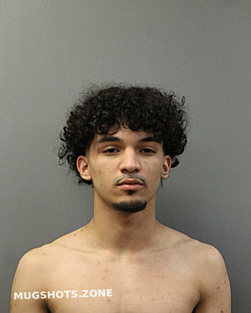 GABRIEL M REYES 09/14/2024 - Chicago Mugshots Zone