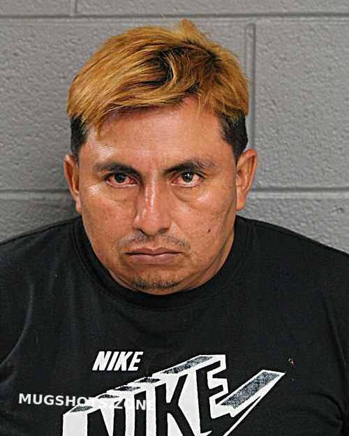 LUIS ALEXANDER TIGSE ORTEGA 09/15/2024 - Chicago Mugshots Zone