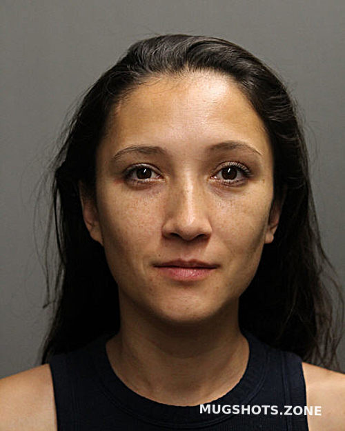 CORRIE M SHRUM 09/15/2024 - Chicago Mugshots Zone