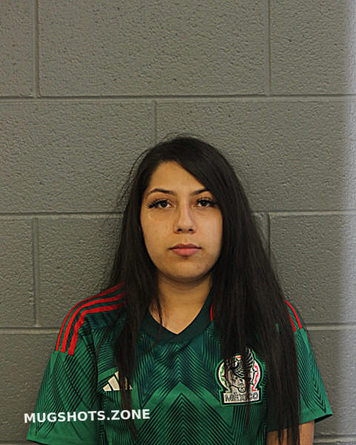 BRIANA MIA RESENDEZ 09/15/2024 - Chicago Mugshots Zone