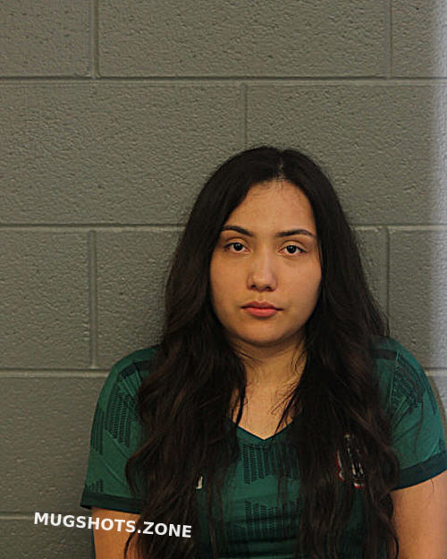 ALEXIS J RESENDEZ 09/15/2024 - Chicago Mugshots Zone