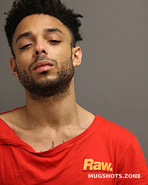 LYNN S SUTTON 09/18/2024 - Chicago Mugshots Zone