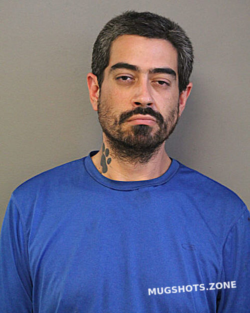 LUIS E GONZALEZ JR 09/19/2024 - Chicago Mugshots Zone