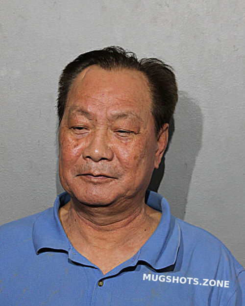 BAN VAN NGUYEN 09/20/2024 - Chicago Mugshots Zone