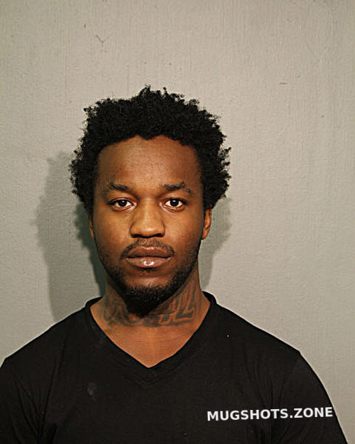 TRINITY PETERSON 09/23/2024 - Chicago Mugshots Zone