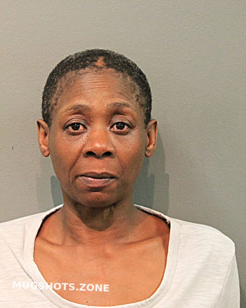 SHELL HOGAN 09/28/2024 - Chicago Mugshots Zone