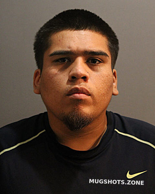 PEDRO A ALVAREZ-REYES 10/02/2024 - Chicago Mugshots Zone