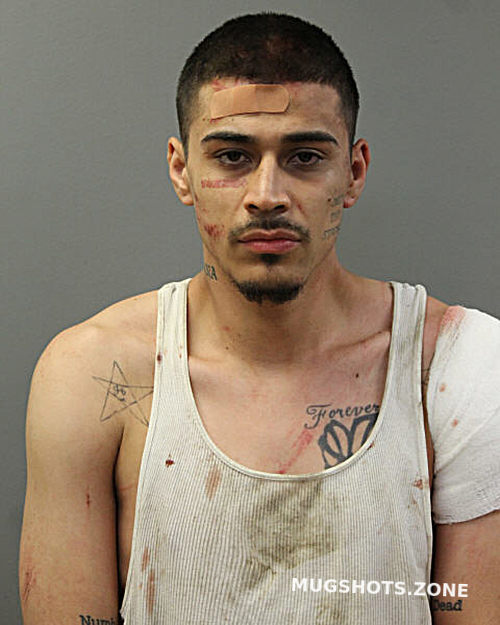 NORBERTO A LOZANO JR 10/06/2024 - Chicago Mugshots Zone